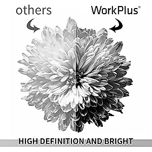 WorkPlus Remanufactured for Lexmark 50F1U00 501U Toner Cartridge for MS510 MS510dn MS610dn MS610 MS610de MS610dtn MS610dte Printer(1XBlack 20,000 Pages )
