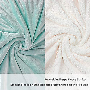 Catalonia Teal Fluffy Sherpa Throw Blanket, Super Soft Mink Plush Couch Blanket, TV Bed Fuzzy Blanket, Comfy Warm Heavy Throws, Comfort Gift for Her, 50x60 inches