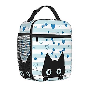 famliihw Black Cat Lunch Box Reusable Insulated Lunch Bag Thermal Cooler Tote For Boys Girls Teen School Men Women Picnic Travel Hiking