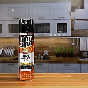 Hot Shot Ant Killer Plus Aerosol, Unscented, Kills On Contact