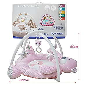 6-in-1 Baby Gym Play Mat, Detachable Plush Play Gym and Play Mat for Sensory and Motor Skill Development Language Discovery, Thicker Non-Slip Baby Activity Gym, Babies to Toddlers as Gift (Pink)