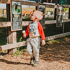 IjnUhb Baby Boys' 2-Pack Cotton Pants, Toddler Pull-on Jogger with Dinosaur Drawstring Elastic Waist