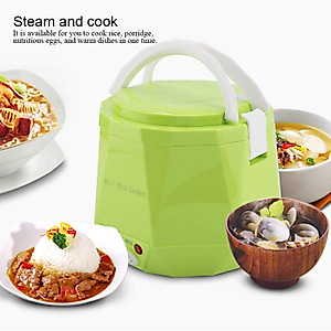 1.3L 24v 180w Electric Lunch Electric Rice Cooker Box Mini USB Rice Cooker Removable Food Grade Double Safety Buckle Cook Rice,Porridge, Nutritious Eggs,Warm Dishes for Home Car Truck Outdoor (Green)