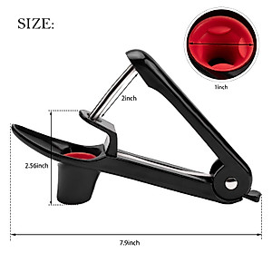 Cherry Pitter - Ordekcity Stainless Steel Cherries Corer Pitter Tool with Hand-held Push Design, Save Time & Space for Making Cherry Jam with Lock Design(Black)