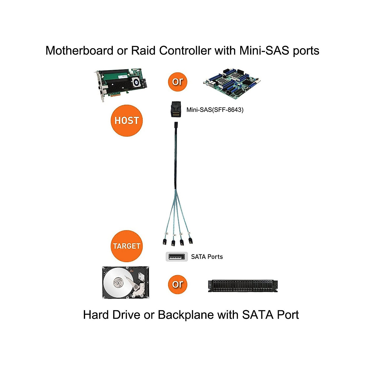 CableCreation 2-Pack 1.6FT/0.5M Internal HD Mini SAS (SFF-8643 Host) - 4X SATA (Target) Cable,SFF-8643 to 4X SATA Cable, SFF-8643 for Controller, 4 Sata Connect to Hard Drive