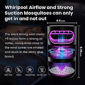 COKIT Indoor Insect Trap, Catch Insect with Suction, Bug Light and Sticky Glue, Catcher & Killer for Mosquito, Gnat, Moth, Fruit Flies, Non-Zapper Traps for Home with Adapter, Glossy Black
