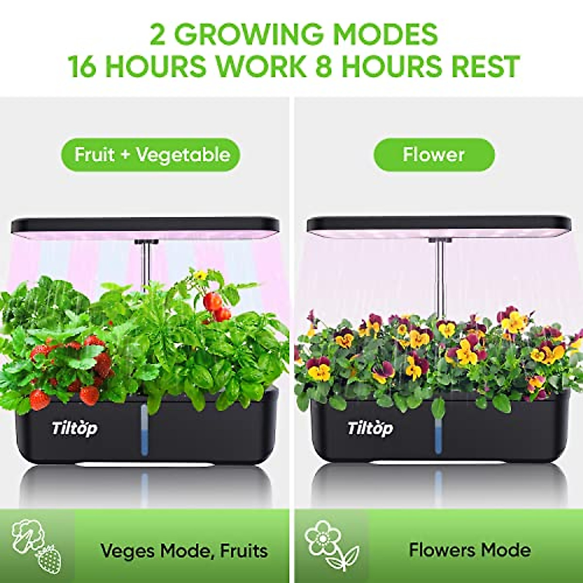 TILTOP Hydroponics Growing System 12 Pods Indoor Herb Garden with 36W LED Grow Light, Height Adjustable Indoor Grow Kit Countertop Garden Automatic Timer Black
