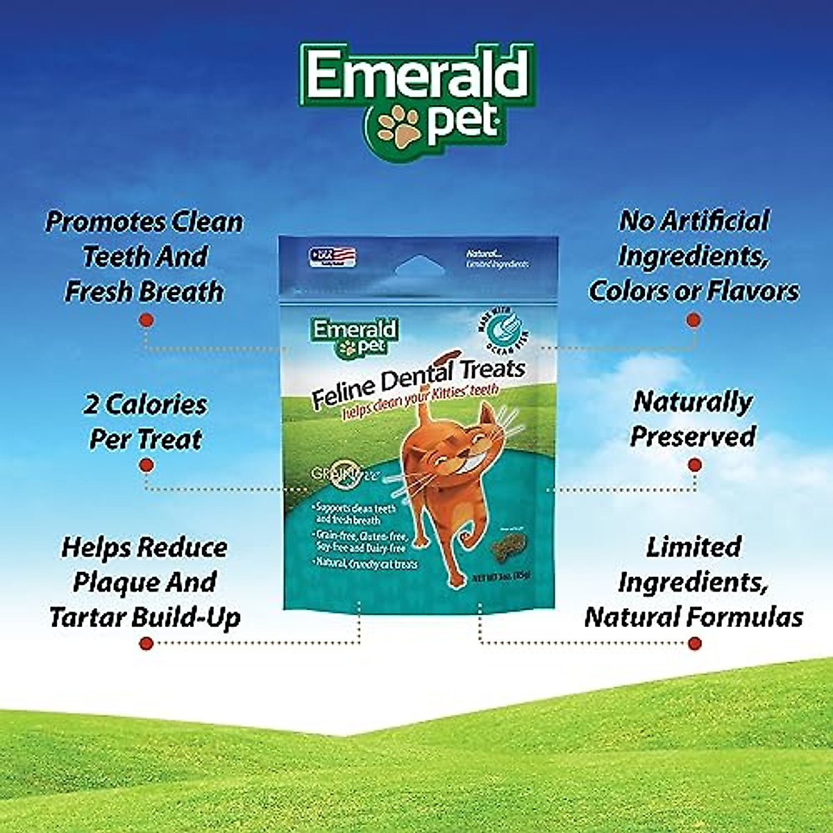 Feline Dental Treats — Tasty and Crunchy Cat Dental Treats Grain Free — Natural Dental Treats to Clean Cat Teeth, Freshen Cat Breath, and Reduce Plaque and Tartar Buildup — Ocean Fish Treats, 3 oz