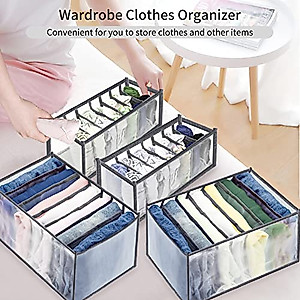 Wardrobe Clothes Organizer for Folded Clothes, Upgrade Mesh Clothes Storage Organizer, Storage Containers for Clothes Jeans Skirts, T-Shirt Underwear Bra Sock Organizer (4pcs, 2 Large and 2 Small)