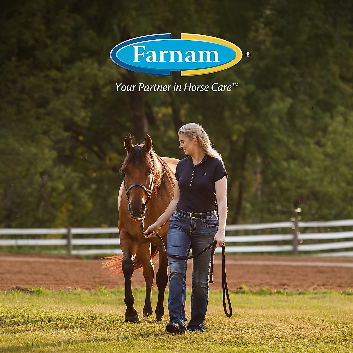 Farnam Leather New Easy-Polishing Glycerine Saddle Soap and Leather Saddle Cleaner, Protects and Preserves Leather, Cleans, Conditions and Polishes, 16 Oz.