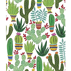 Party Explosions Gift Wrap - Sedona Desert Cactus Wrapping Paper Flat Sheet (24" W x 6' L)