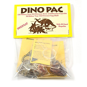 Rare Fossil Dino Pac - Real Dinosaur Egg, Bone, and Dung Fossils with Info Cards, Geologic Timescale, and 4X Magnifier