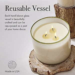 LAFCO New York 3-Wick Candle, Feu de Bois - 30 oz - 120-Hour Burn Time - Reusable, Hand Blown Glass Vessel - Made in The USA