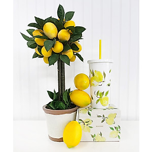 Kate Spade New York Insulated Tumbler with Reusable Straw, 20 Ounce Travel Cup with Lid, Lemons