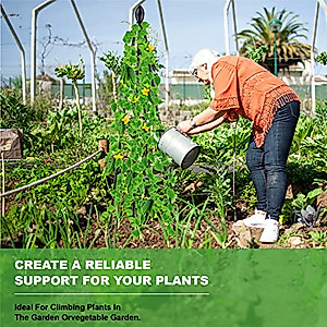 AlisisFores 4 Ft Tower Obelisk Trellis for Potted Climbing Plants, Garden Trellis Rustproof Plastic Coated Metal Plant Support for Vegetables, Vines and Rose Bushes