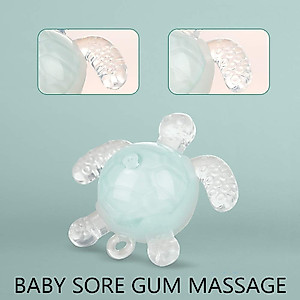 Eco Inspired Turtle Baby Teether Toy - Baby Teething Toys for 3M+ Food Grade Silicone Teether for Soothing Teething Baby Sore Gum Teethers for Babies with Teether Clip (Green)