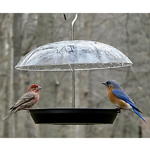 Kingsyard Adjustable Platform Bird Feeder for Outdoors Hanging, Metal Tray Bird Feeder with Dome Top, Attract Bluebirds Cardinals Goldfinches (Black)