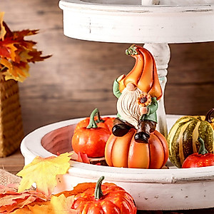 Jetec Fall Gnomes Statue Decor, Thanksgiving Gnome Pumpkin Gnome White Beard Gnome Statue Fall Pumpkin Fairy Statue Resin Pumpkin Decor Garden Yard Lawn Ornament Gift, 6.7 Inch Tall