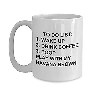 Havana Brown Owner Mug Cat Lovers To Do List Funny Coffee Mug Tea Cup Gag Mug for Men Women