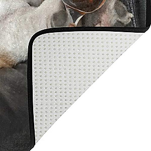 ALAZA Cute Bulldog with Cigar and Glass of Cognac Area Rug Rugs for Living Room Bedroom 5'3"x4'