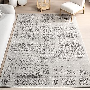 nuLOOM Arlena Vintage Traditional Area Rug - 8x12 Area Rug Modern/Contemporary Grey/Ivory Rugs for Living Room Bedroom Dining Room Kitchen