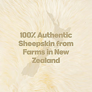 Natural Sheepskin Rug with Thick and Lush 2.5 Inch Pile | Hypoallergenic Sheep Fur Rug with Anti-Skid Back l Sheepskin Wool Area Rugs, Natural, 2 ft x 3 ft