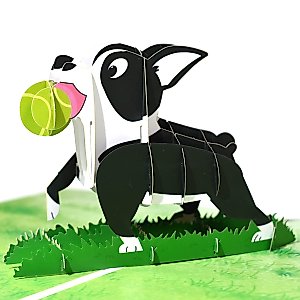 GREETING ART Dog Pop Up Card,3D Pop Up Card,Pop Up Birthday Card,Boston Terrier Pop Up Card, Dog Lover Card,Thank You Card for Mothers Day, Fathers Day,Valentines Day, Birthday, All Occasion