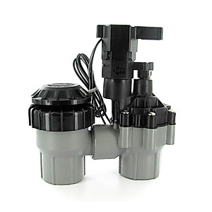 Rain Bird 100-ASVF 1" Inlet Residential Anti-Siphon Sprinkler Valve w/Flow Control