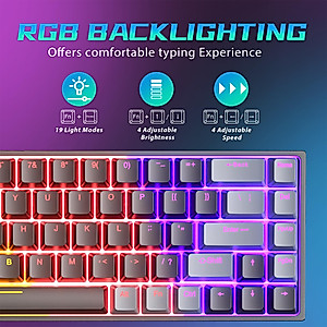 Taiahiro 60% Mechanical Gaming Keyboard, RGB Backlit 68 Keys Ultra-Compact Wired Keyboard with Blue Switch, Full Anti-Ghost, Type-C, Portable Mini Office Keyboard for PC Laptop Win/Mac, Black&Gray