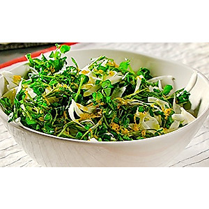 200+ Watercress Seeds Heirloom Non-GMO Delicious Superfood! Easy to Grow! from USA