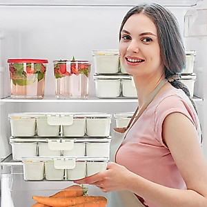 Big Snackle Box Charcuterie Container - Food Grade Portable Snack Box for Travel, Beach, and Car - Snack Shield Lock, Snap-On Tray, and Snack Storage for Charcuterie and More.