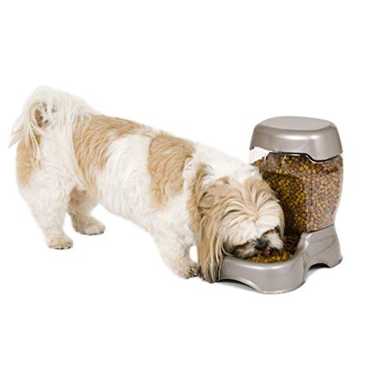 Petmate Pet Cafe Feeder Dog and Cat Feeder Pearlescent Colors 3 Sizes