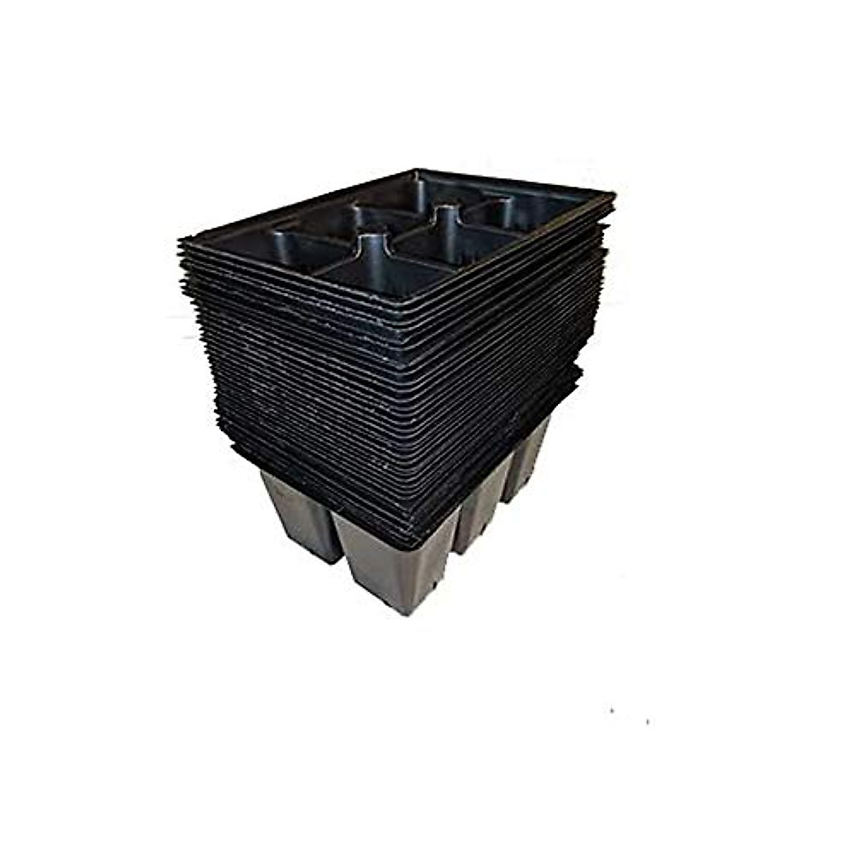AAAmercantile Seed Starter Trays 300 DEEP Extra Large Cells Total (50 Trays of 6 Cells Each)