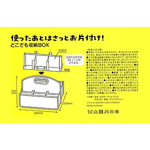 Skater ZBX1-A Anywhere Storage Box, Portable, Organization, Includes Handles, Dinosaurus, Pictures, Trinket Storage, Storage Case