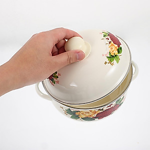 SHOWERORO Enamel Soup Pot Kitchen Stew Pot Enameled Oven Braising Pan with Lid Stockpot with Lid 8 Quart Porcelain Cooking Saucepan Pasta Steamer Food Thicken Stockpot Metal Soup Plate