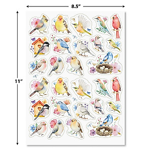 Current Watercolor Birds Sticker Variety Pack - 2 Sheets, 52 Assorted Stickers for Kids, Teachers, School, Scrapbooking, Journals, Monthly Planners, Calendars, Holiday Crafts & Greeting Cards