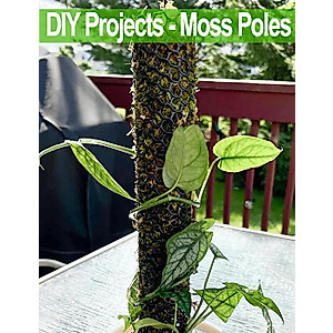 16In x 15Ft Plastic Chicken Wire Mesh Fencing, TOYPOPOR 500GSM Durable Heavy Duty Hexagonal Chicken Wire for Cat Dog Fencing, Garden Fence, Aquarium, Moss Pole, Aperture 0.4'', Rustproof, Easy to Cute