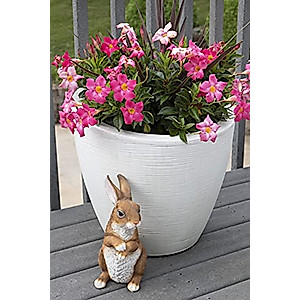 CLEVER GARDEN Rabbit Garden Statue Outdoor Décor, Resin Figurine Decoration for Lawn, Yard, Patio, Porch, and More