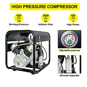 TUXING 4500Psi PCP Air Compressor,Scuba Tank Diving Compressor,Double Cylinder High Pressure Pump with Adjustable Pressure for Filling Pcp Air Rifles,Scuba Diving Tanks 110V(TXED012)
