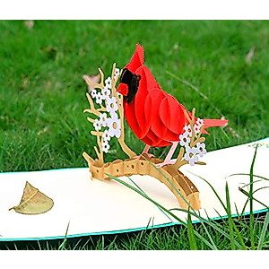CUTPOPUP Mother's Day, Birthday Card Pop Up, 3D Greeting Card (Red Cardinal)