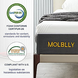 Molblly 10 Inches Queen Size Mattress for Back Pain Relief, Gel Memory Foam Mattress in a Box, Fiberglass Free, Medium Firm, 10-Year Support, Premium Queen Bed