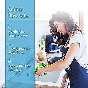 AQUA CREST F-2000 Under Sink Water Filter, Compatible with F-2000&F2000s, F-1000&F-1000S, AquaPure AP Easy C-Complete, Model No. WF03-F2