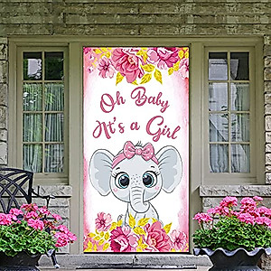 Dill-Dall Girl Baby Shower Door Banner, Oh Baby It's A Girl Sign, Girl Baby Shower / Gender Reveal / Welcome Baby Photography Background