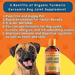Kangaroo Dogs Organic Turmeric Curcumin Dog Joint Supplement - Liquid for Faster and Better Absorption Natural Dog Joint Supplement Liquid (8 oz)