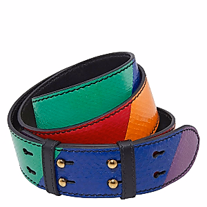 Burberry Ladies Rainbow Leather Belt Bag Strap