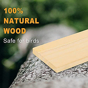 Filhome Bird Perch Platform Bird Perch Stand Toy, Parrot Bird Cage Platform Gym Accessories for Parakeets Cockatiels, Conures, Macaws, Finches