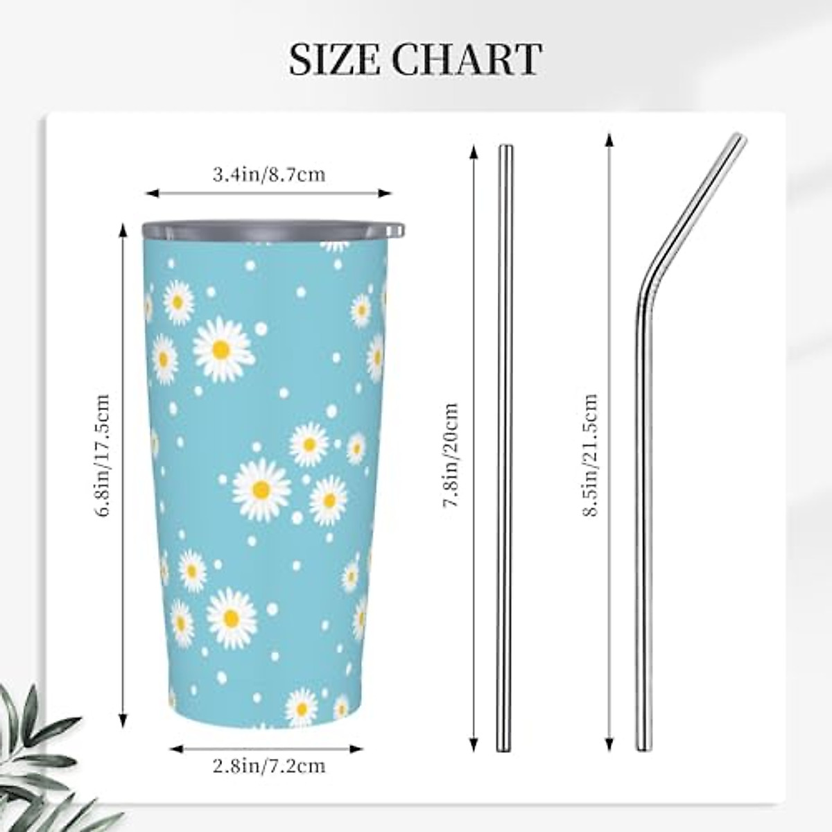 20oz Tumbler Splendid Little Daisy Double Wall Vacuum Insulated Coffee Mug with Lid and Metal Straw Brush Reusable Stainless Steel Water Bottle Travel Cup Gifts for Car Ice Drinks Hot Beverage