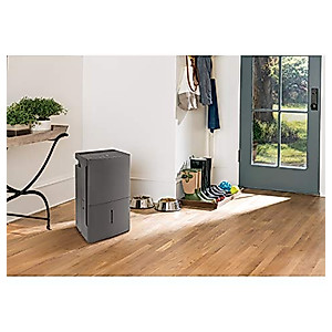 GE Energy Star Portable Dehumidifier 50 Pint with Pump, Perfect for Bedroom, Basement & Garage, Ideal for High Humidity Areas, Built-in Pump Eliminates Need to Check Water Levels, Grey