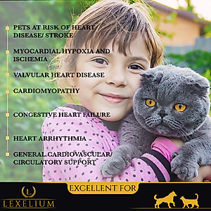 Lexelium Heart Supplement for Dogs and Cats - Provides Cardiovascular & Circulatory Support & Keeps Hearts Healthy with Taurine – Optimizes Heart Function & Circulation - Easy to Mix Powder - 200g