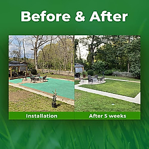 Growtrax Biodegradable Grass Seed Mat - 100 sqft Year Round Green - Grass Seed and for Lawns, Dog Patches & Shade - Just Roll, Water & Grow - No Fake or Artificial Grass